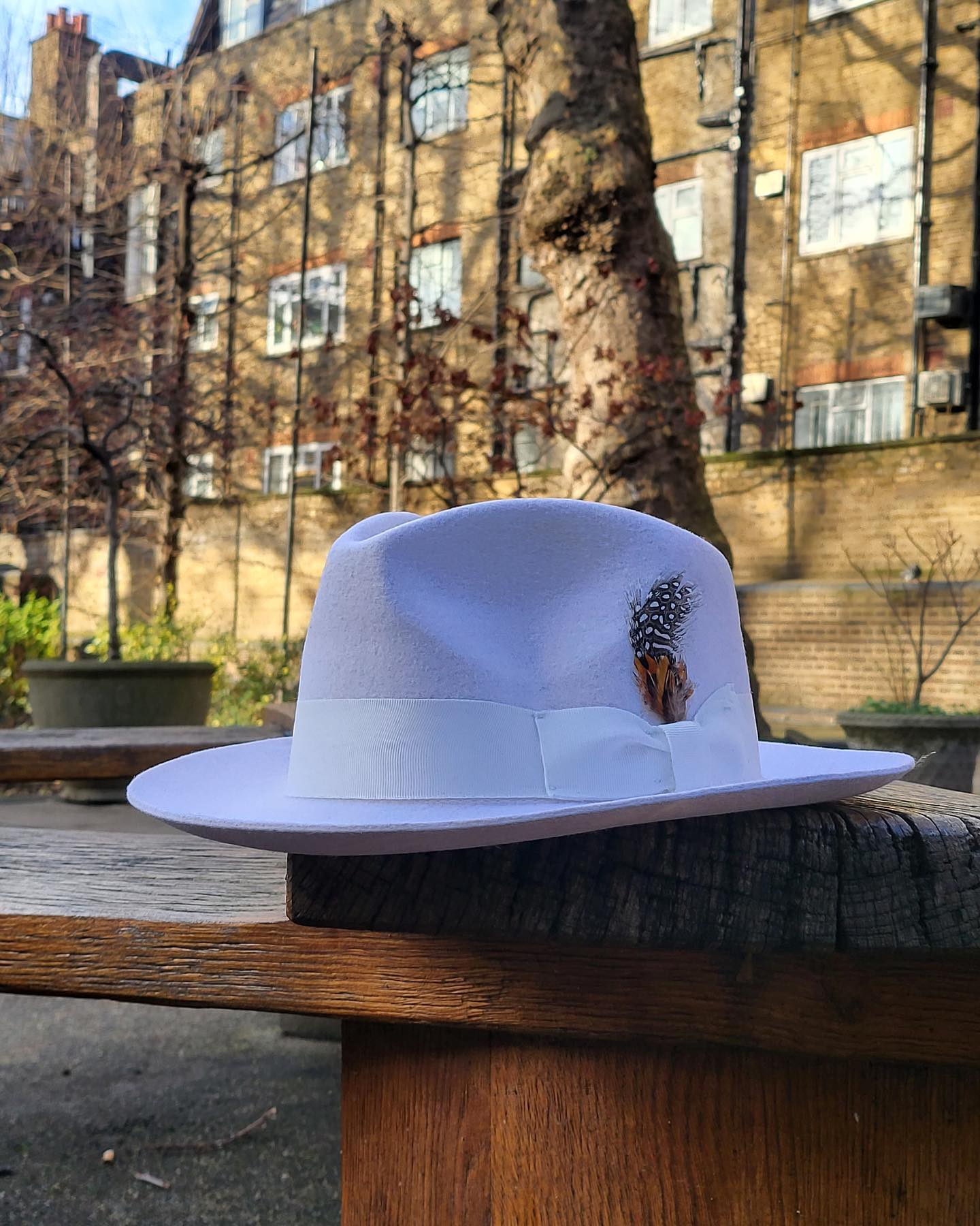 Major Wear | Official Hat Store